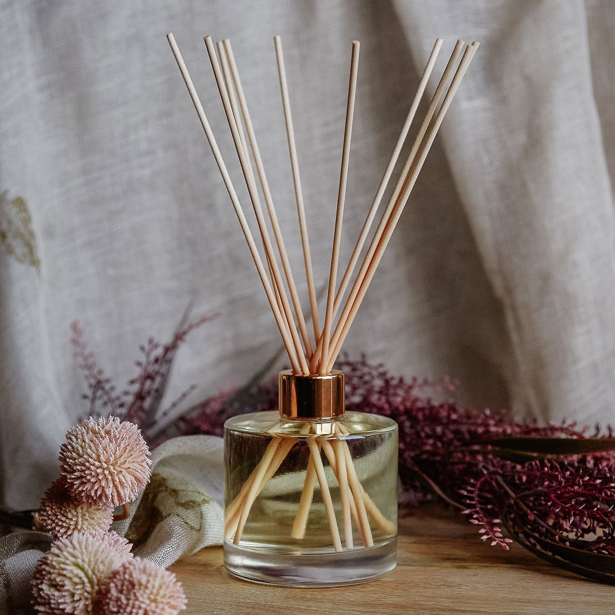 Morton Bay Fig Diffuser – Pure Apotheca